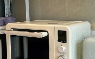 家用小烤箱都能烤什么_新手必看