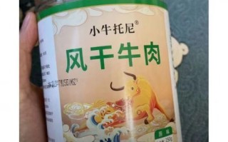 内蒙古牛肉干哪个牌子好吃_正宗风干牛肉怎么选