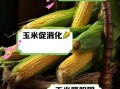 玉米减肥能吃吗_玉米的功效与作用减肥
