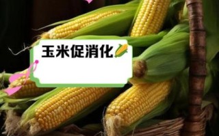 玉米减肥能吃吗_玉米的功效与作用减肥
