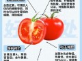 西红柿生吃还是熟吃_西红柿最佳吃法