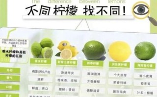 柠檬是酸性还是碱性_柠檬水是酸性还是碱性