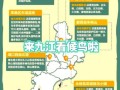 鄱阳湖一日游路线_鄱阳湖观鸟最佳时间