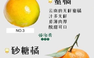 柑橘品种有哪些_常见柑橘品种大全
