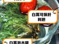 白蒿怎么吃_白蒿的吃法大全