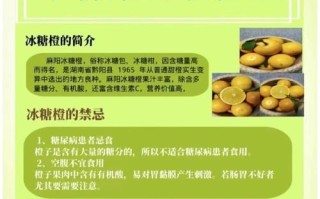 冰糖橙上火吗_冰糖橙吃多了会上火吗