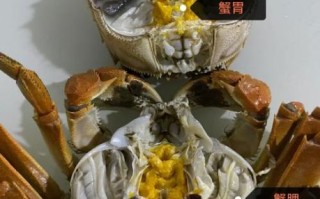 螃蟹哪些地方不能吃_蟹腮蟹胃蟹心在哪
