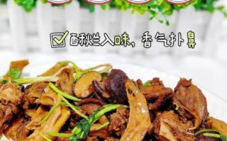 怎样烧鸭子又嫩又好吃_鸭子怎么烧才入味不腥