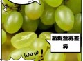 提子和葡萄哪个营养高_提子与葡萄的区别