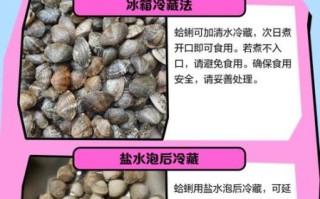 蛤蜊当天不吃如何保存_蛤蜊隔夜还能吃吗