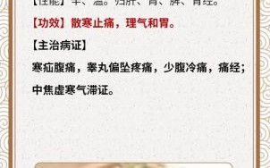 小茴香的功效与作用_小茴香能治哪些病