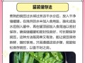 煮豌豆要煮多久_豌豆怎么煮才翠绿