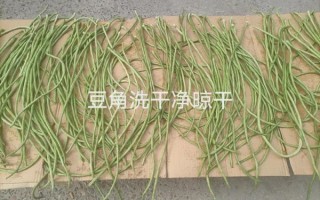 豇豆咸菜怎么腌制_豇豆咸菜腌制方法