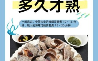 海螺煮多久才熟_海螺煮多长时间口感最佳
