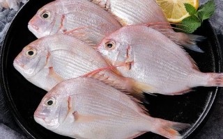 铜盆鱼是什么鱼_铜盆鱼价格多少钱一斤