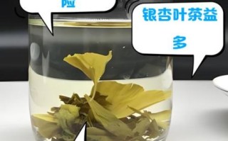 银杏叶泡水喝的功效与禁忌_银杏叶茶怎么泡才正确