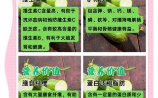 丝瓜的营养价值_丝瓜怎么吃最营养