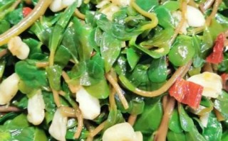 马齿苋怎么吃法_马齿苋凉拌怎么做