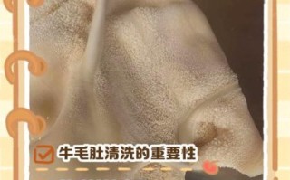牛肚里面是屎吗_牛肚清洗方法