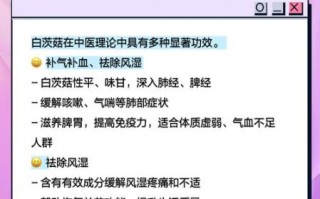 白茨菇怎么做好吃_白茨菇的家常做法