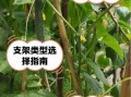 节瓜怎么搭架_节瓜搭架用什么材料