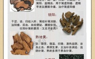 壮阳中药排行榜10强_哪个效果最好