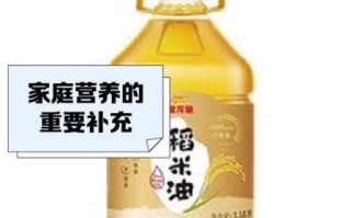稻米油和玉米油哪个好_稻米油和玉米油区别