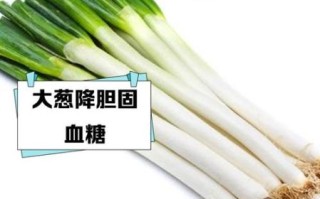 大葱补肾壮阳吗_大葱壮阳效果怎么样