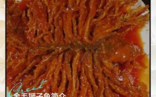 狮子鱼怎么养_狮子鱼有毒吗