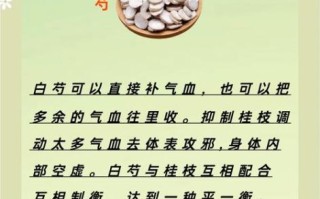 桂枝加葛根汤的功效与作用_桂枝加葛根汤适合哪些人