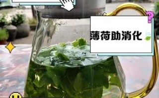 薄荷叶能直接泡水喝吗_薄荷叶泡水喝的正确方法