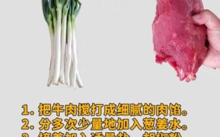 牛肉馅怎么调才嫩_最好吃的牛肉馅调法