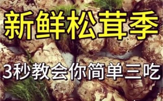 野生松茸的功效与作用_怎么吃最营养