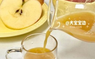 自制苹果汁怎么榨好喝_苹果榨汁要不要加水