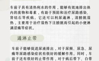 车前子泡水喝的功效与作用_车前子的禁忌有哪些
