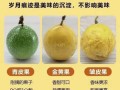 百香果吃多了会怎么样_百香果一天吃几个合适