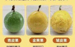 百香果吃多了会怎么样_百香果一天吃几个合适