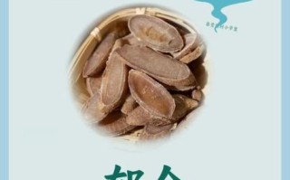 郁金的功效与作用是什么_郁金能治疗哪些疾病