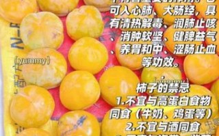 吃柿子的好处和坏处_吃柿子要注意什么