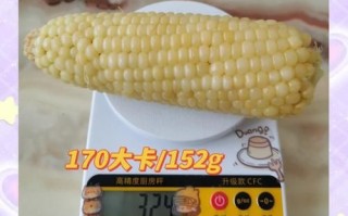 一根玉米的热量是多少_减肥能吃玉米吗