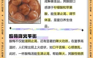 酸梅的功效与作用_酸梅怎么泡才好吃