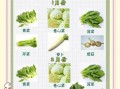 春季时令蔬菜有哪些_如何挑选最新鲜