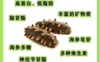 海参和什么搭配最有营养_海参最佳营养搭配指南
