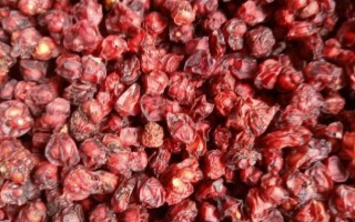 五味子多少钱一斤_五味子价格走势