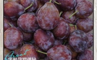 西梅孕妇可以吃吗_西梅的功效与作用孕妇
