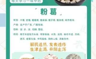 葛根粉条有什么营养_葛根粉条的功效与作用