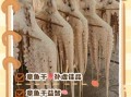 章鱼干的功效与作用_章鱼干怎么吃最营养
