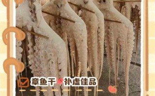 章鱼干的功效与作用_章鱼干怎么吃最营养