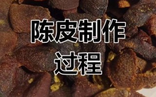 自制九制陈皮的做法_九制陈皮怎么保存