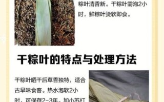 棕叶子是什么垃圾_粽叶属于干垃圾还是湿垃圾